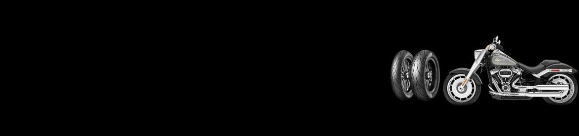 Harley Davidson Fat Boy 114 Tyre | Buy Fat Boy 114 Tyres Online at ...