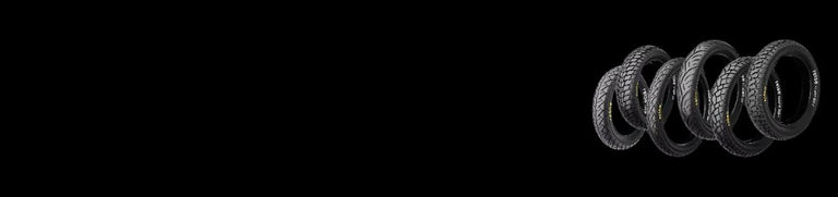 Reise Bike Tyres – Tyre Titans